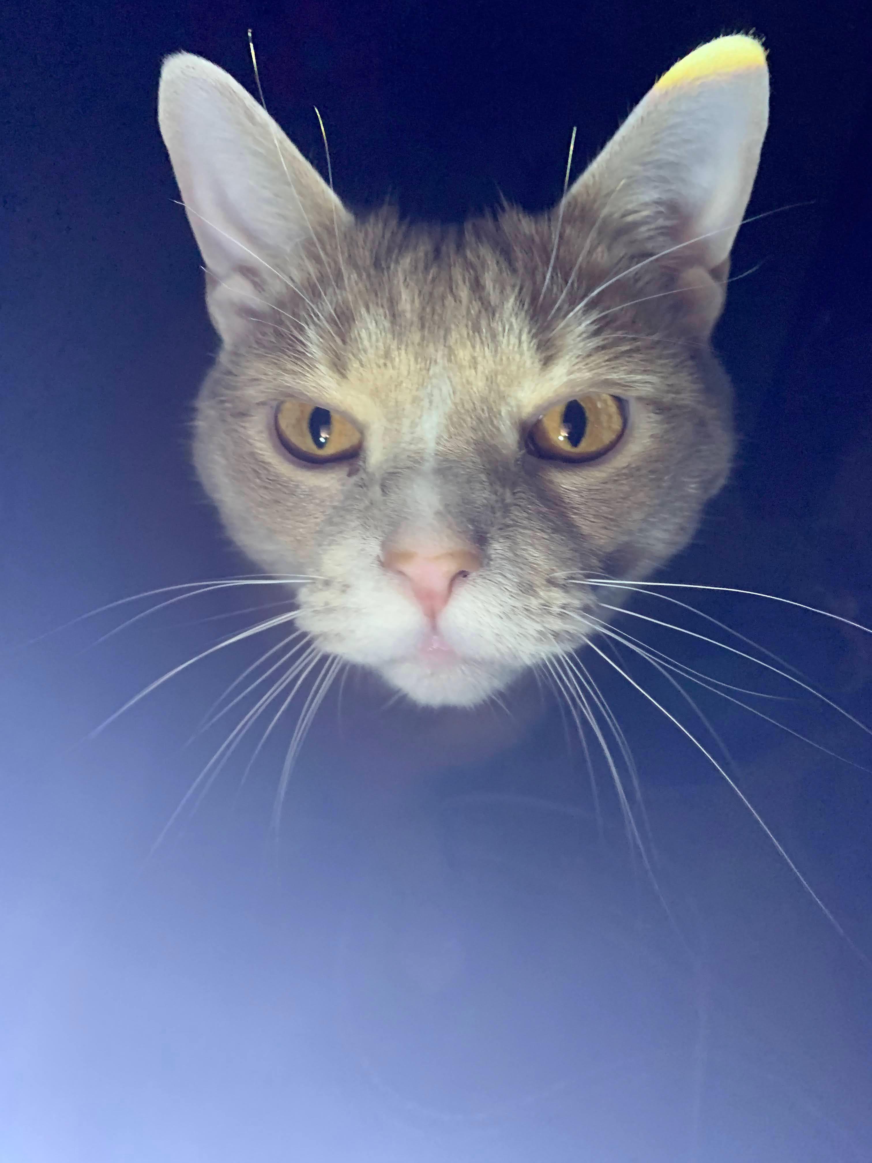 Alien lighting | Scrolller