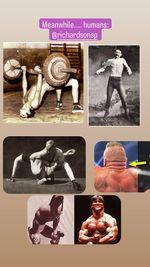 Make Neck Bridges Great Again | Scrolller