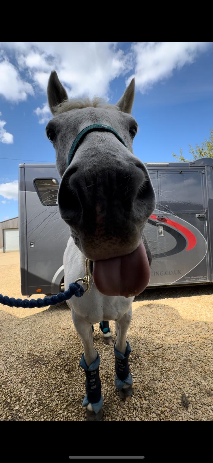 How can I make the sketch look more like the image? (Mainly the body) | Scrolller