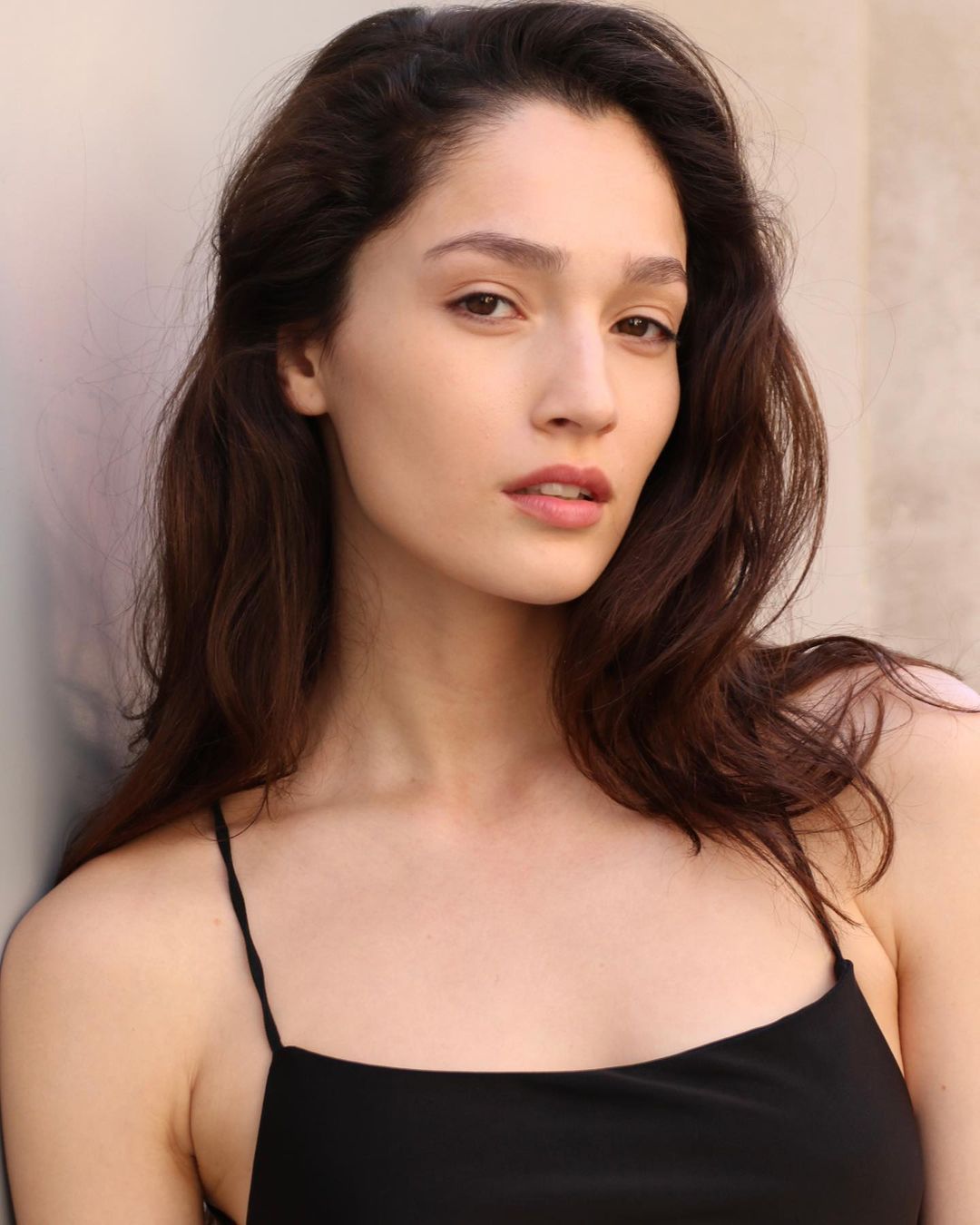 Persian x Yakut | Scrolller