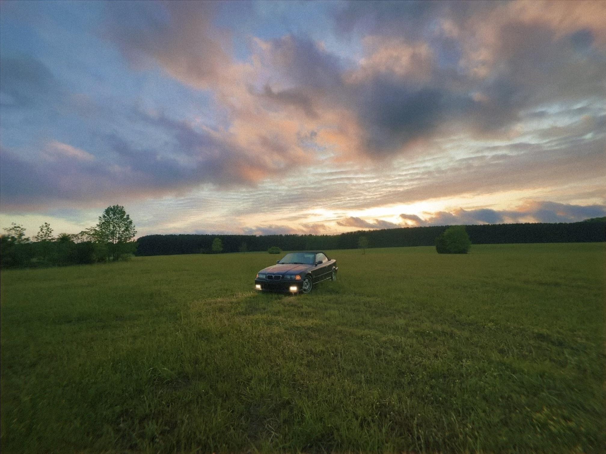 Forza looks a little different here | Scrolller