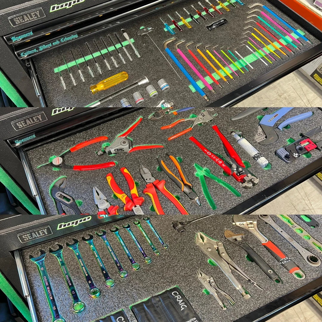 For those who were interested this is a selection of some of the draws. | Scrolller