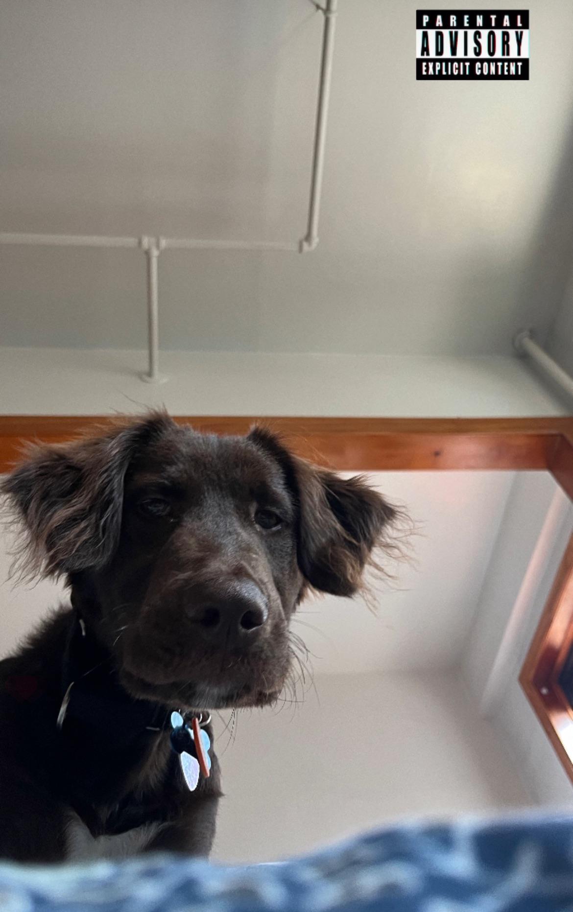 Accidental Album Cover | Scrolller