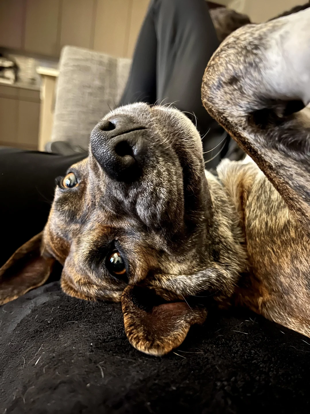 She’s melting | Scrolller