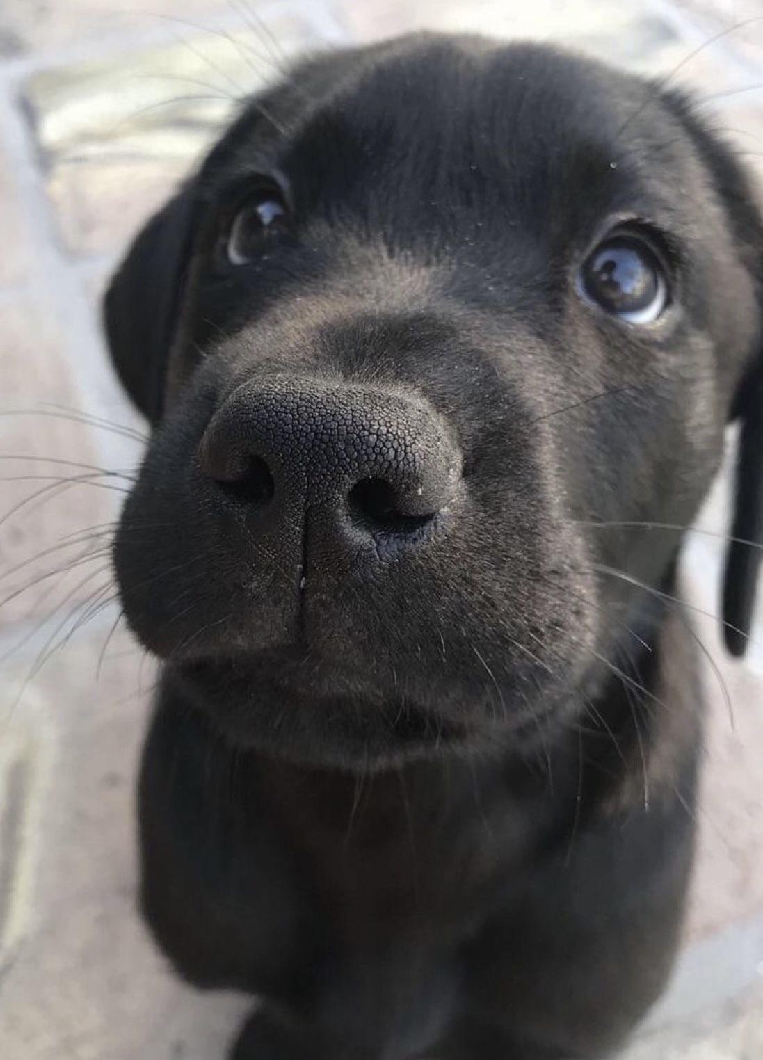 Here's some cuteness for your feed | Scrolller