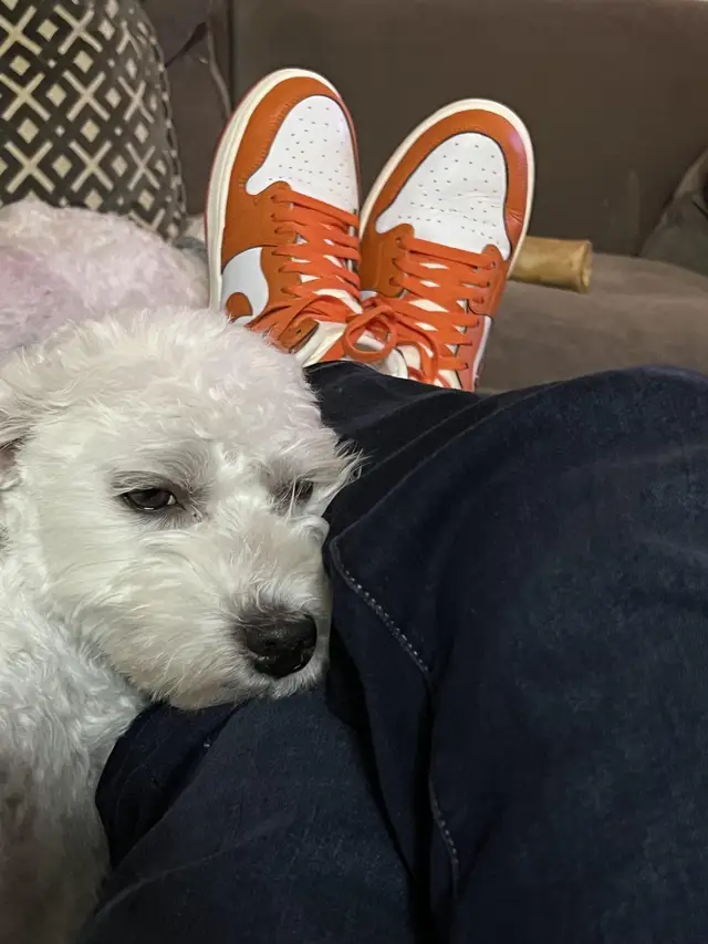 Mail call - Starfish! | Scrolller