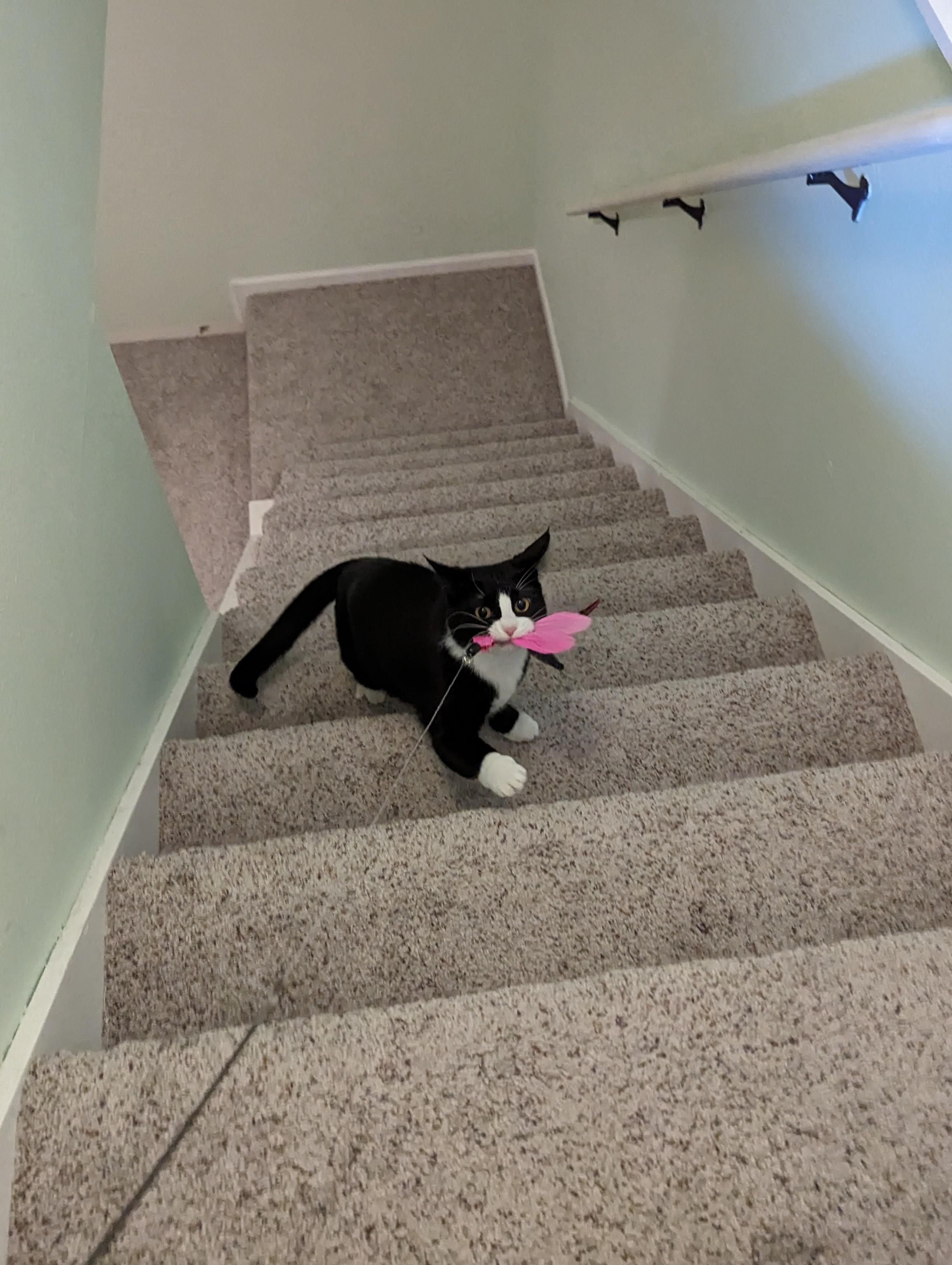 She's so pleased she caught the "bird" | Scrolller