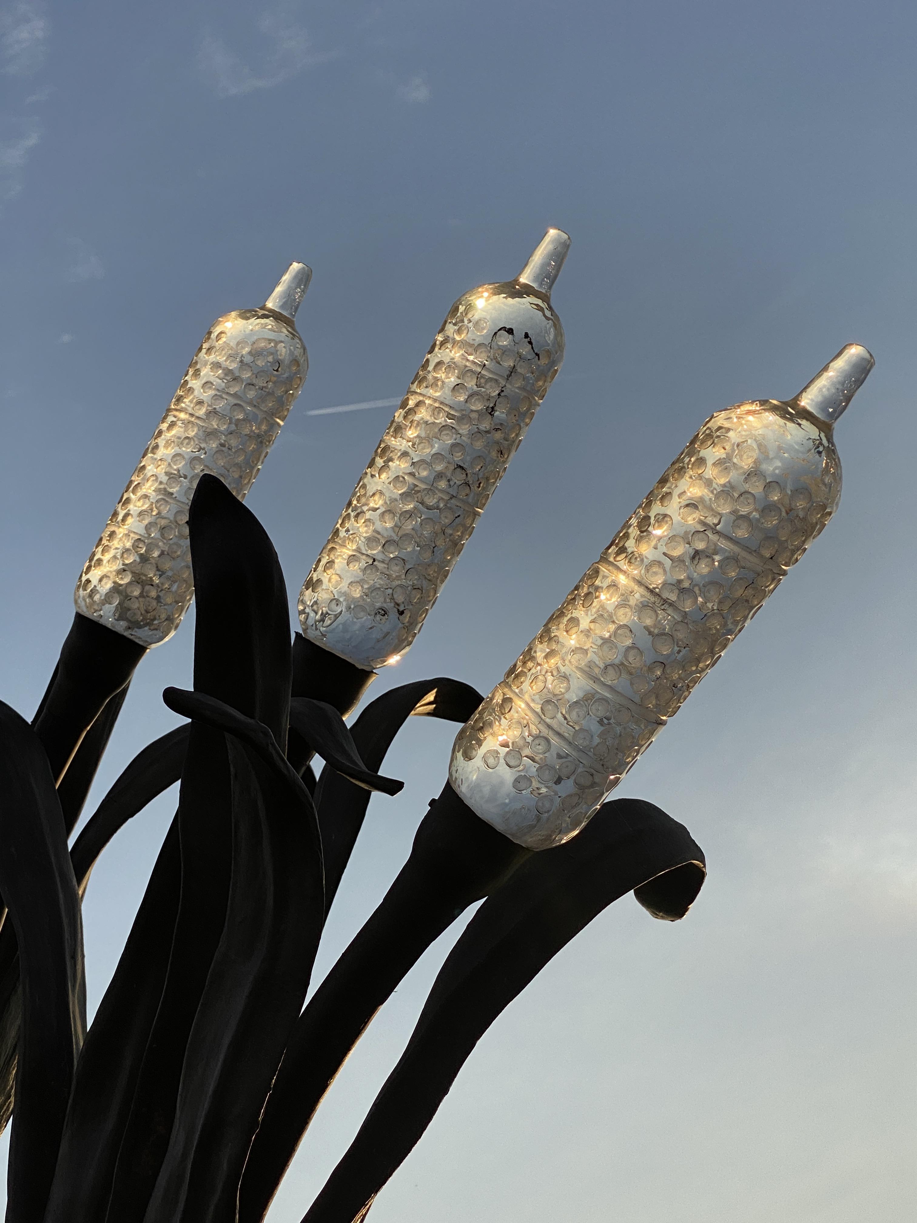 Stunning details | Scrolller