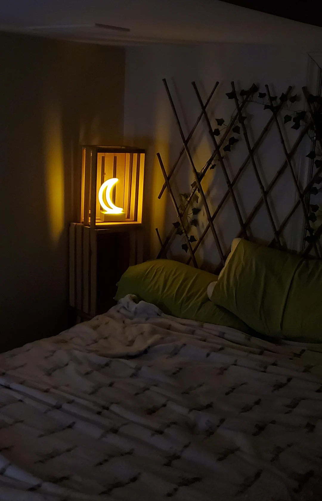 Using a trellis as my head board | Scrolller