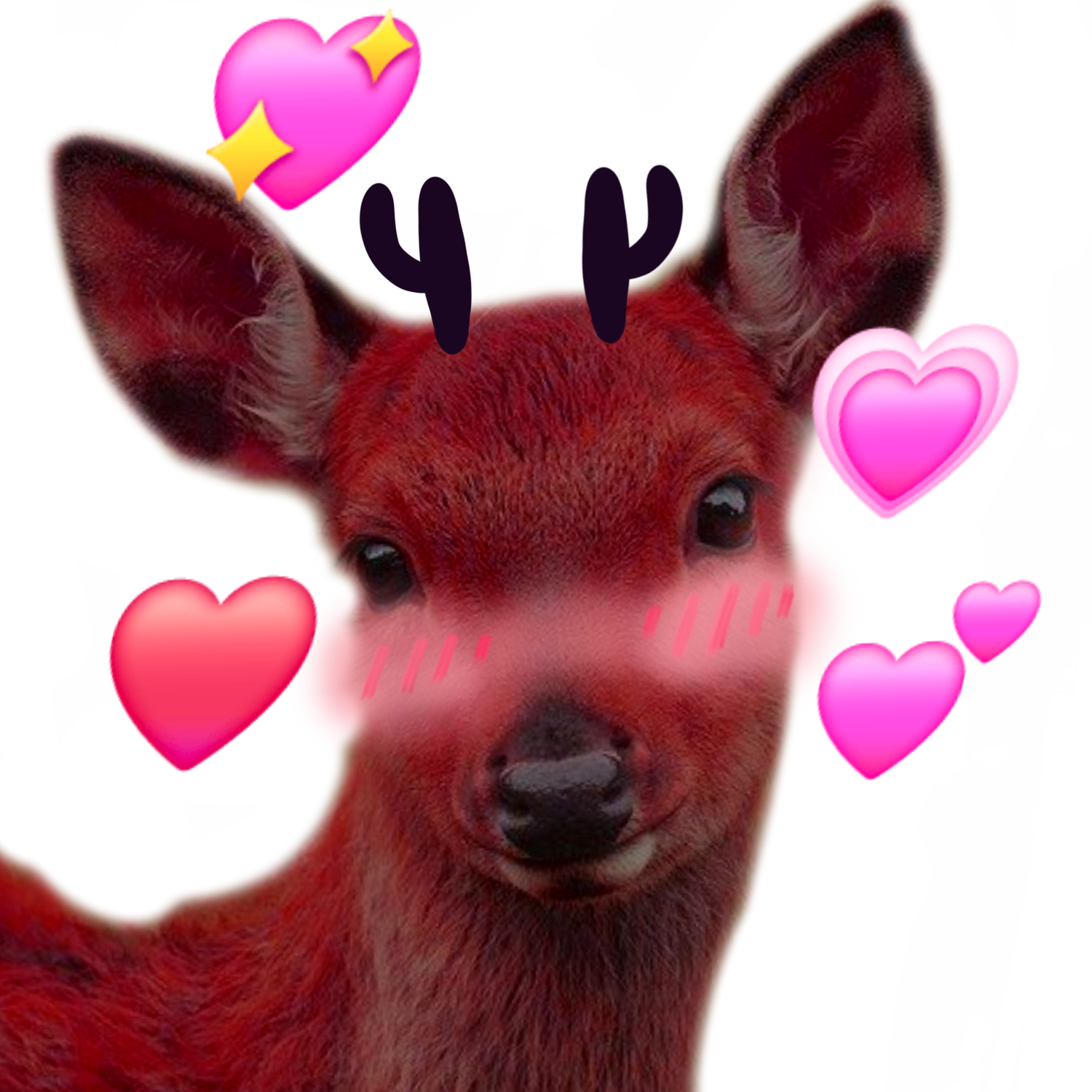 Enjoy a cursed emote | Scrolller