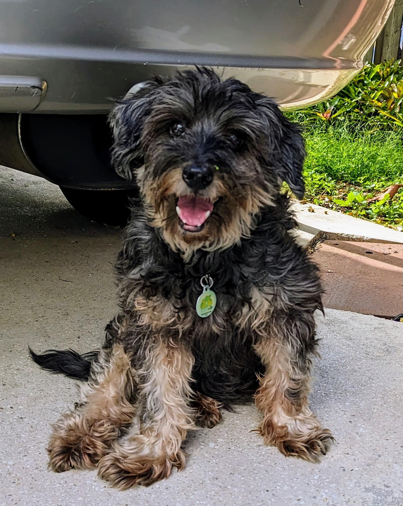 My Hazel | Scrolller