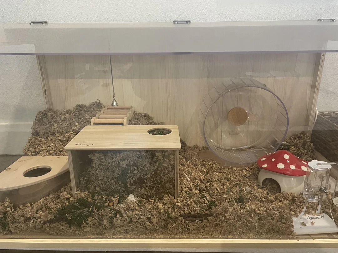 Hamster Cage | Scrolller