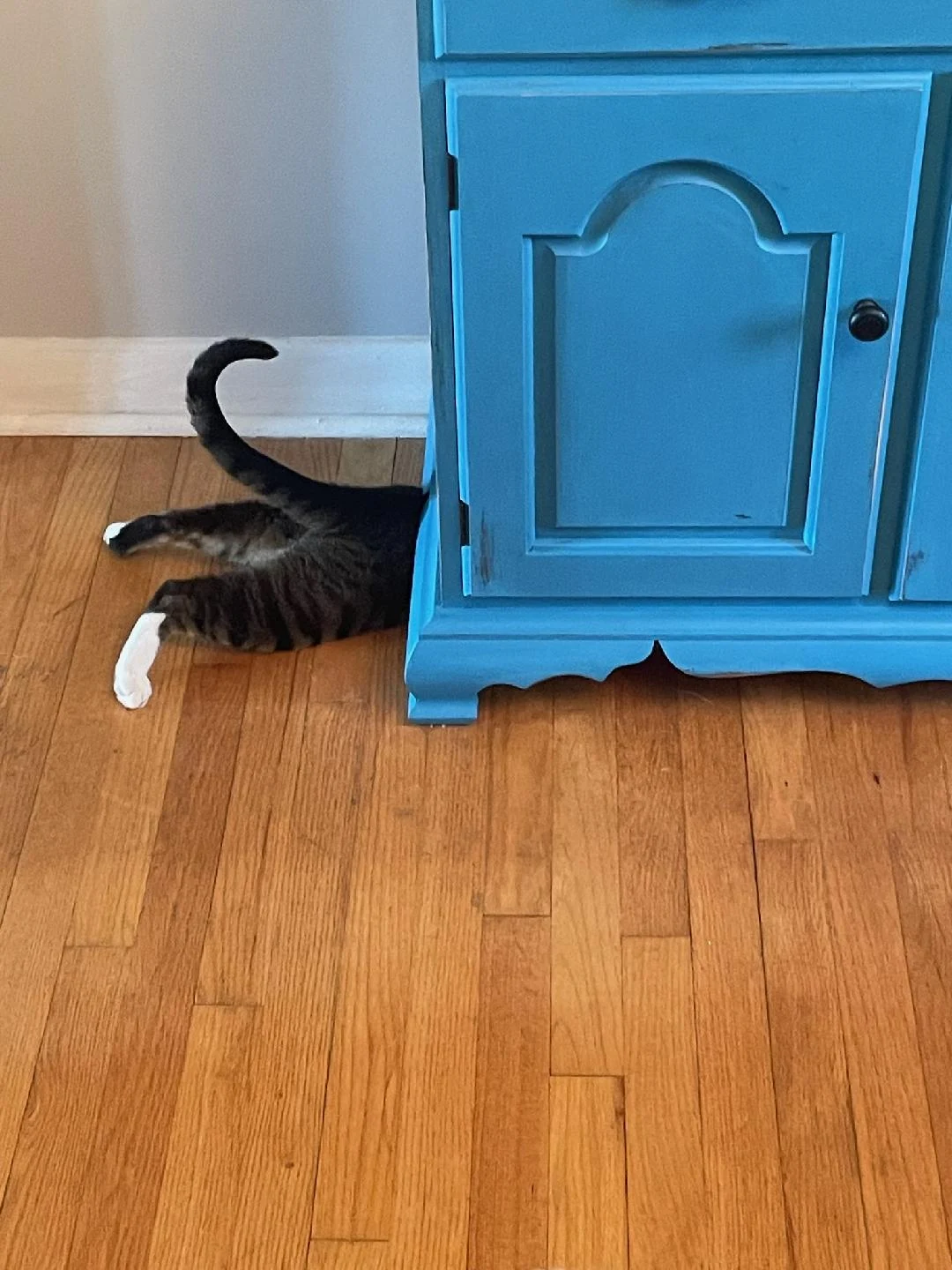 Squished | Scrolller