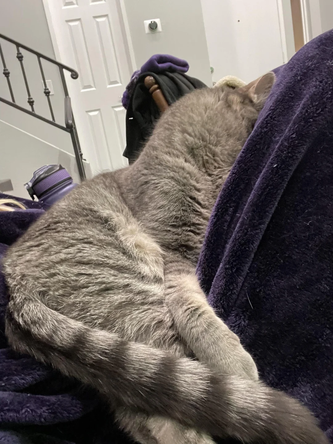 Night night for Buzz | Scrolller