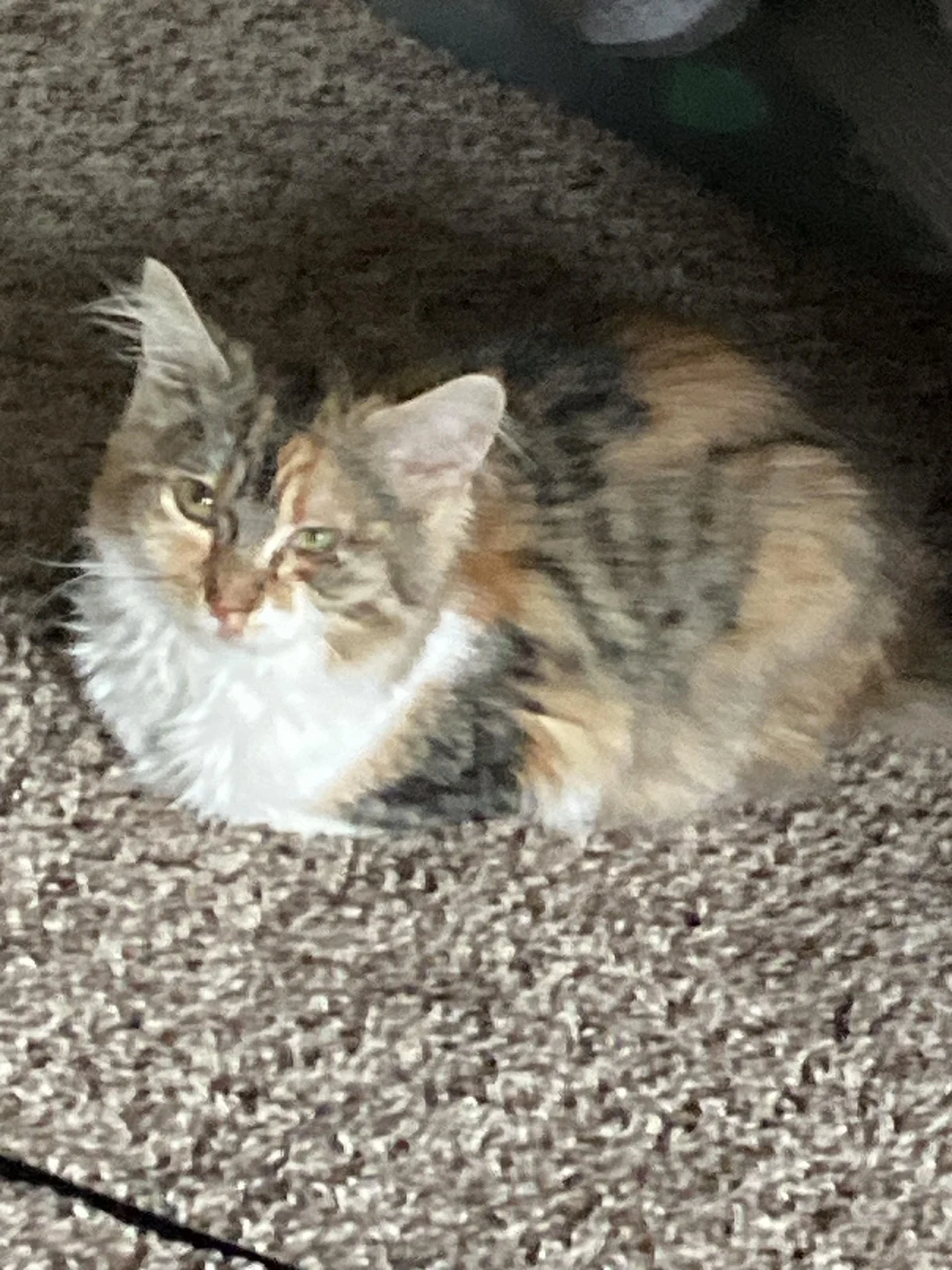 Curvy loaf | Scrolller