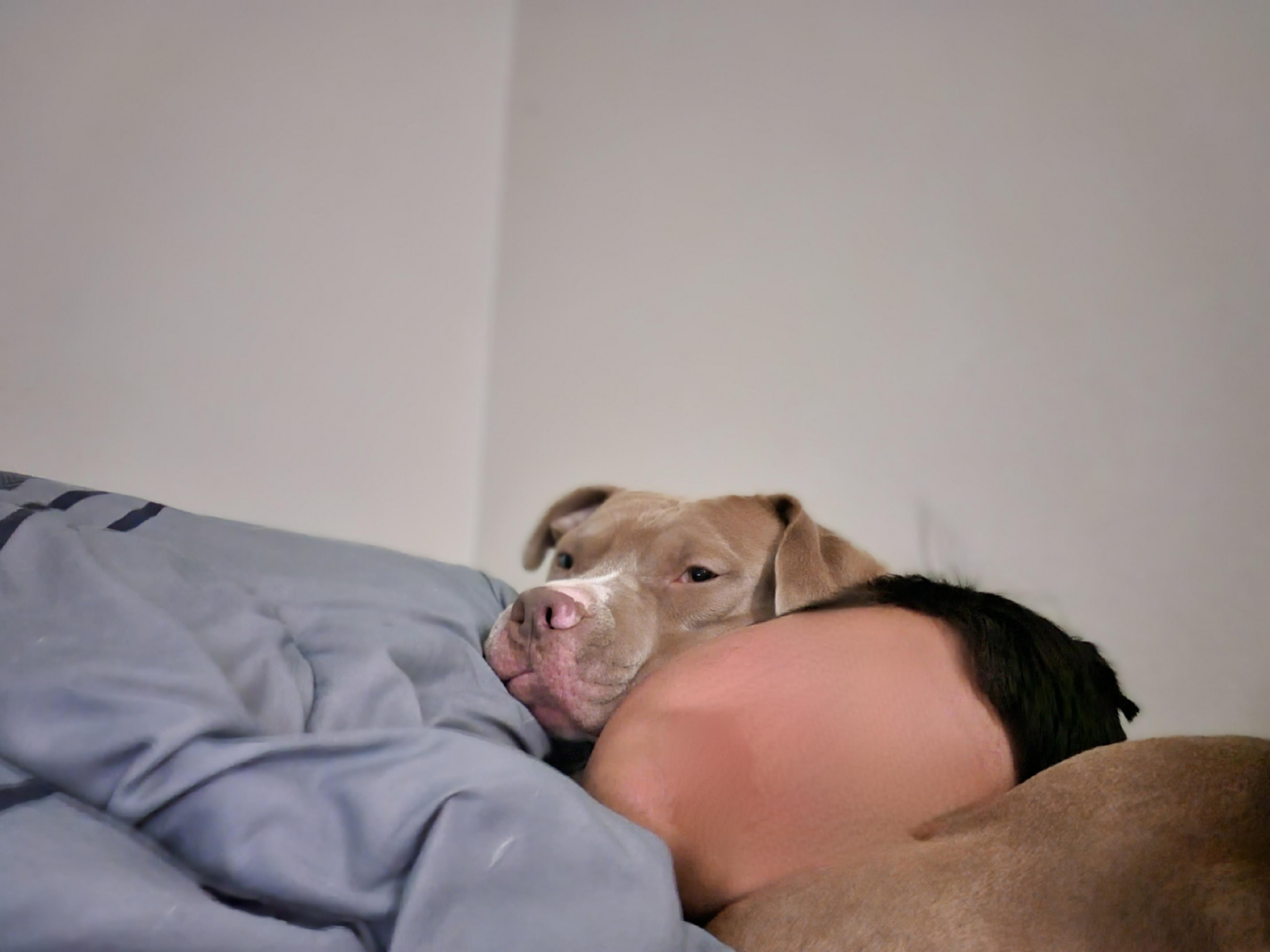 Discover more like WhatsWrongWithYourDog: Derp and Related Content | Scrolller