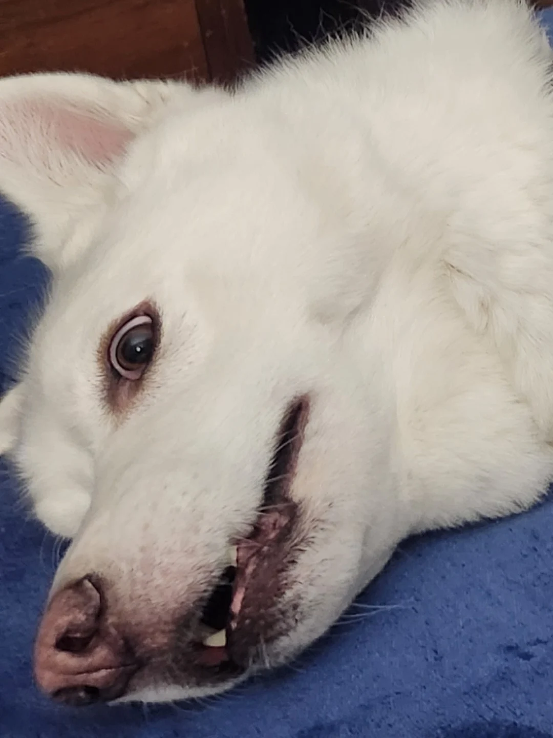 Flashbacks from Nam. | Scrolller