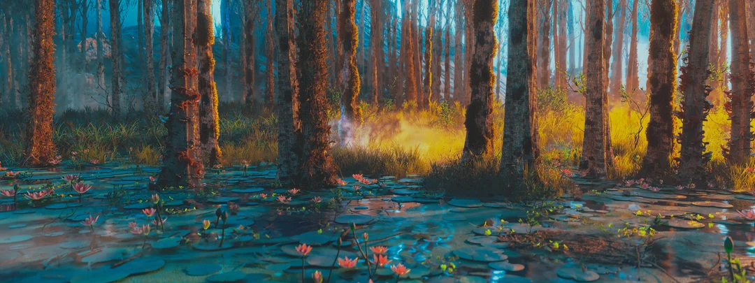 Swamp, Woods | Scrolller