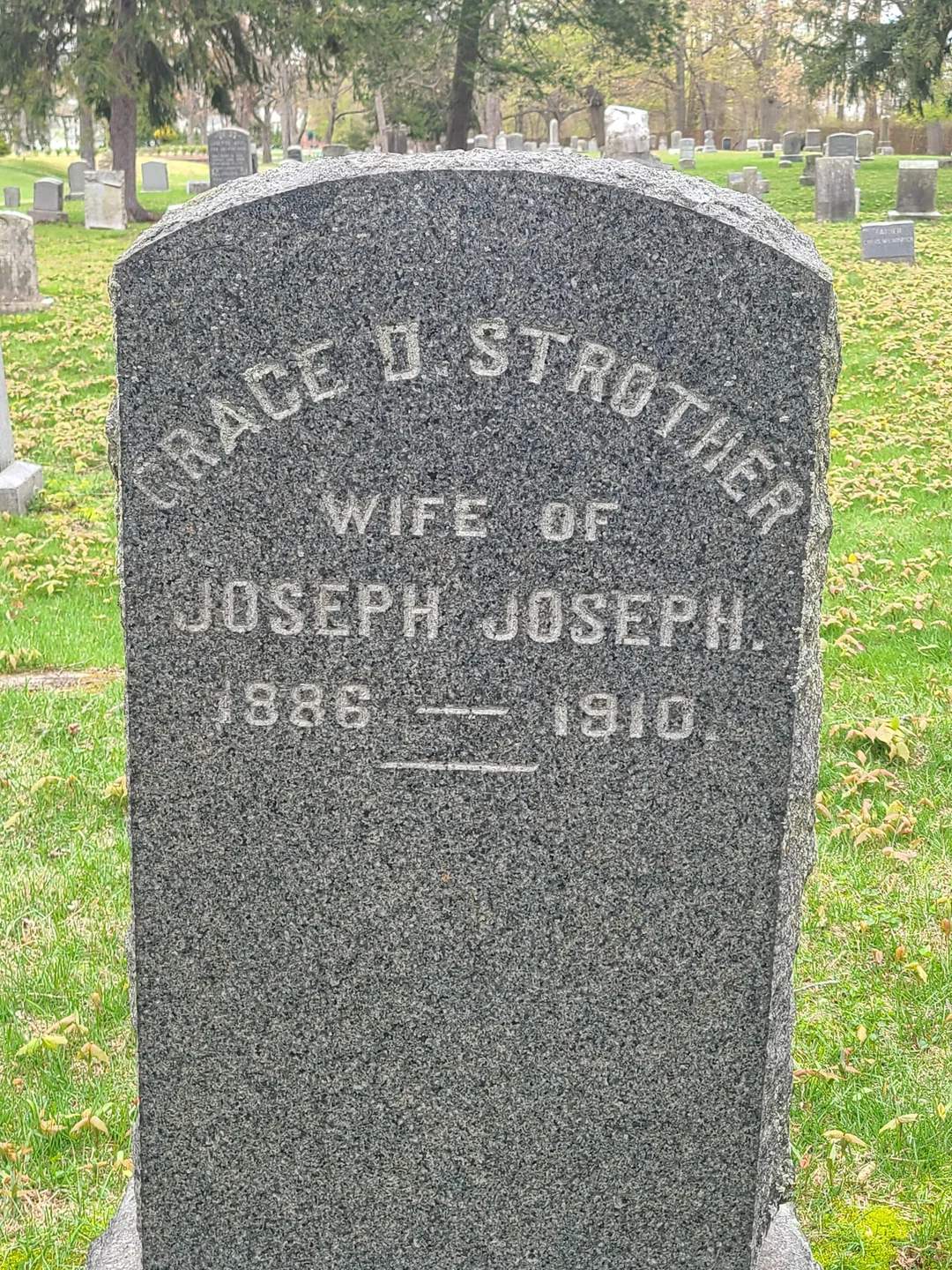 Joseph Joseph | Scrolller