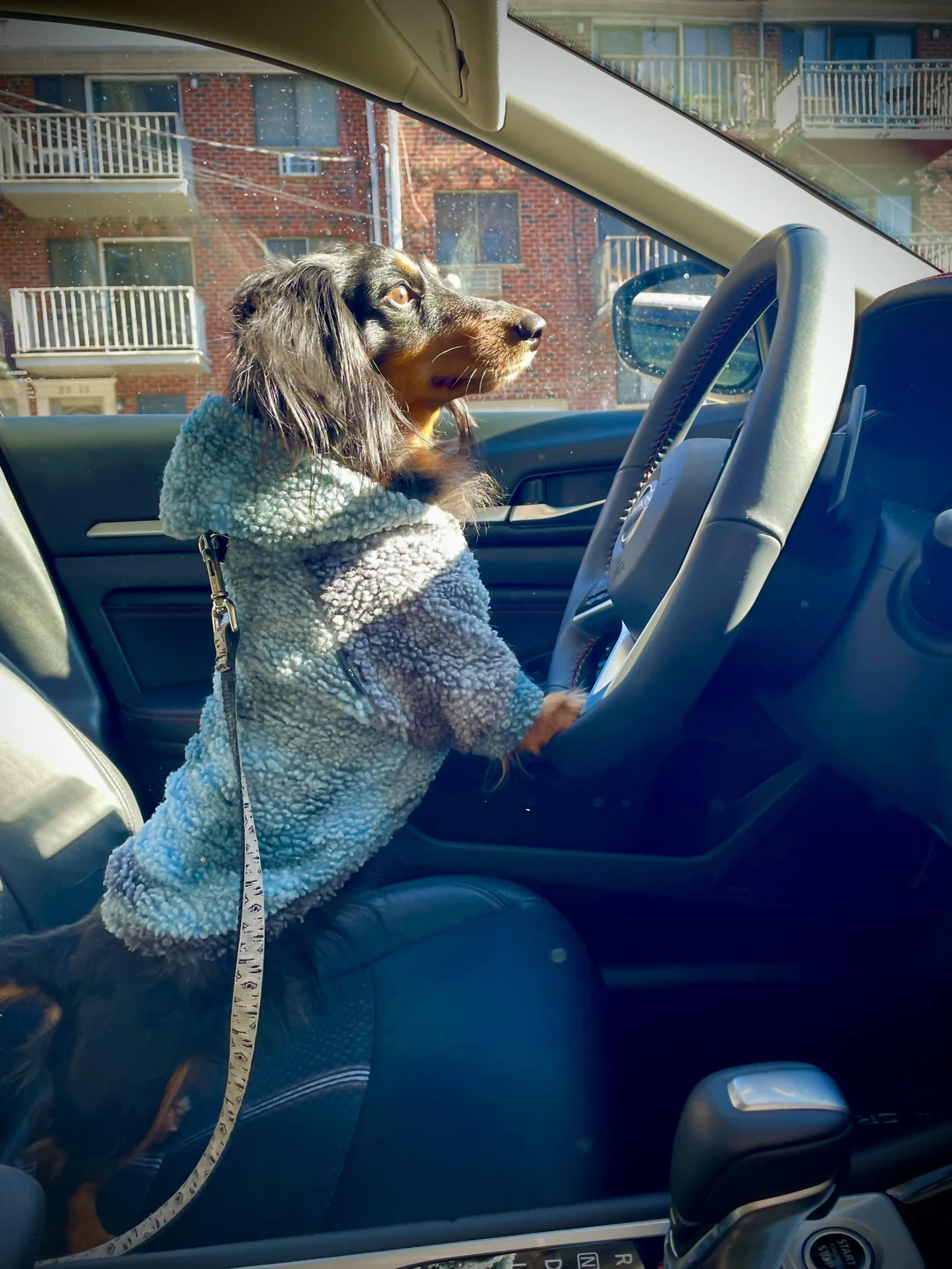 Okay call me embarrassing, but I fell in love with my Uber driver! | Scrolller