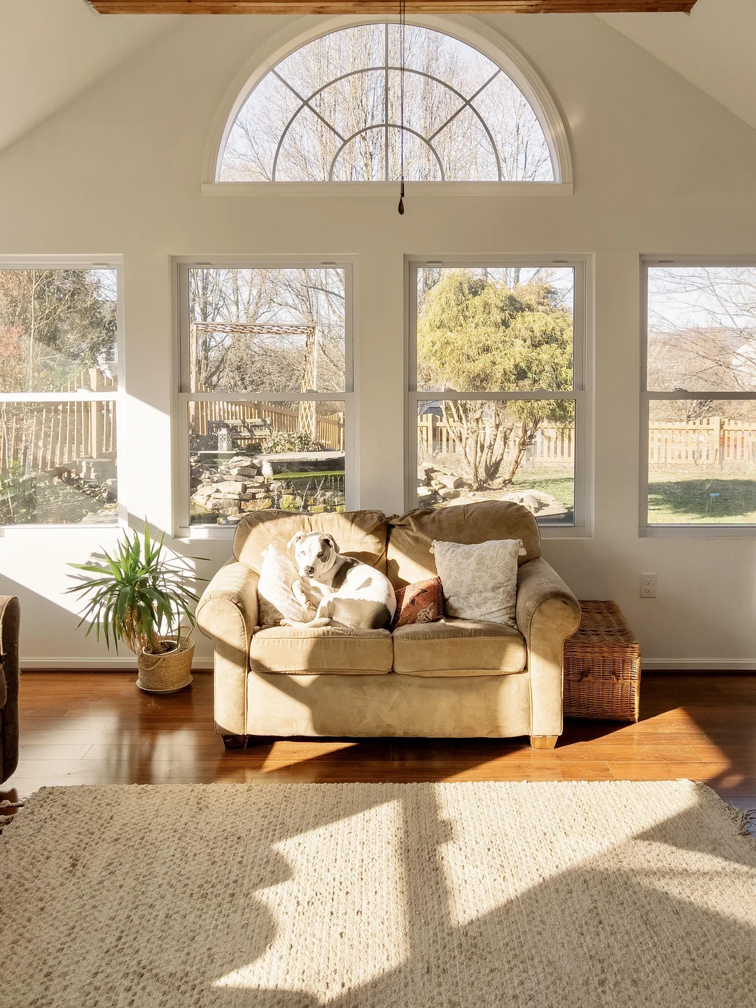 Basking in the morning light. | Scrolller