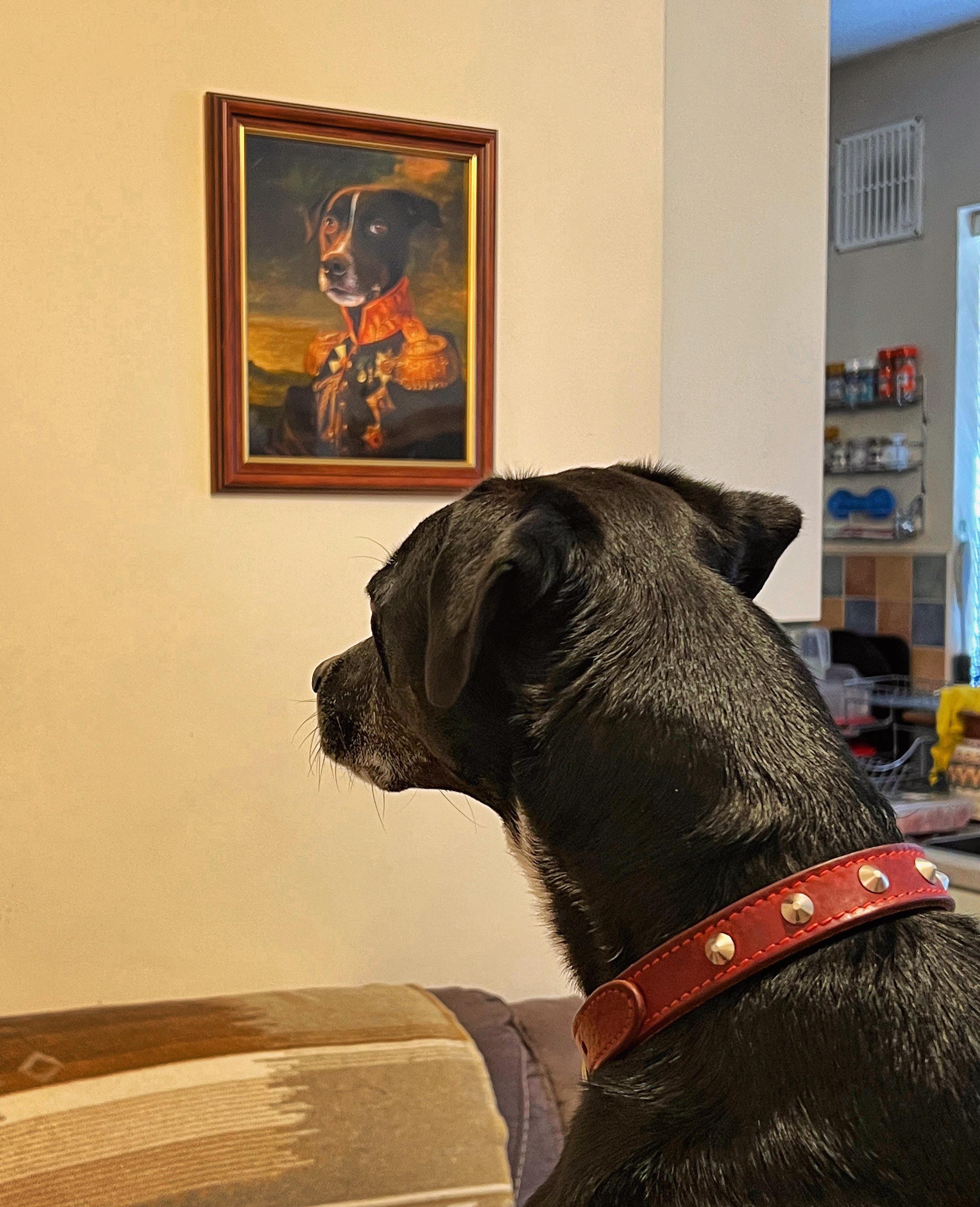 Admiring himself | Scrolller