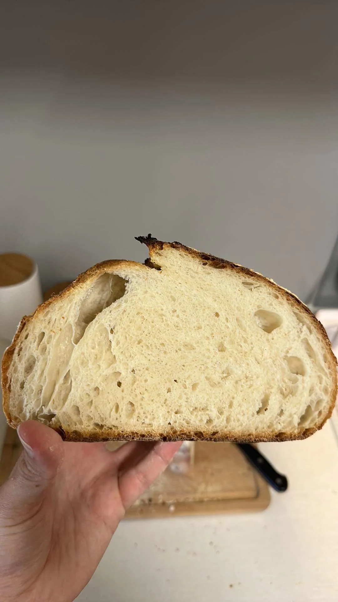 Yeasted bread - help me achieve a more open crumb! | Scrolller