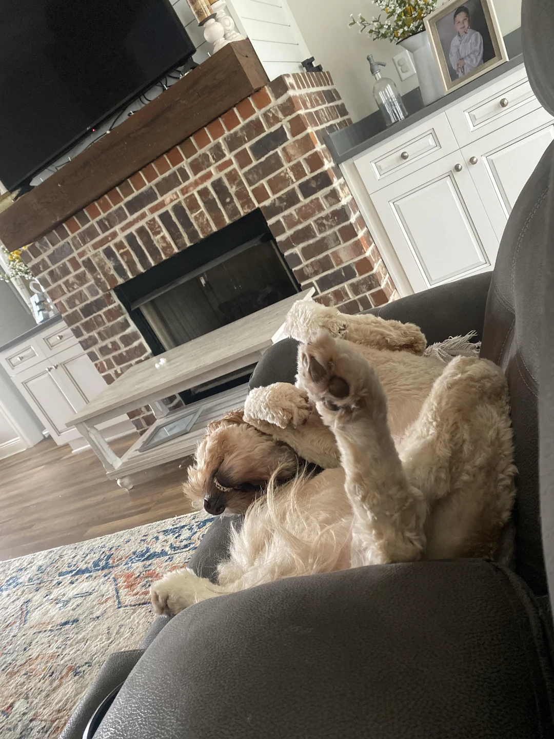 Disco Dancing While Sleeping? | Scrolller