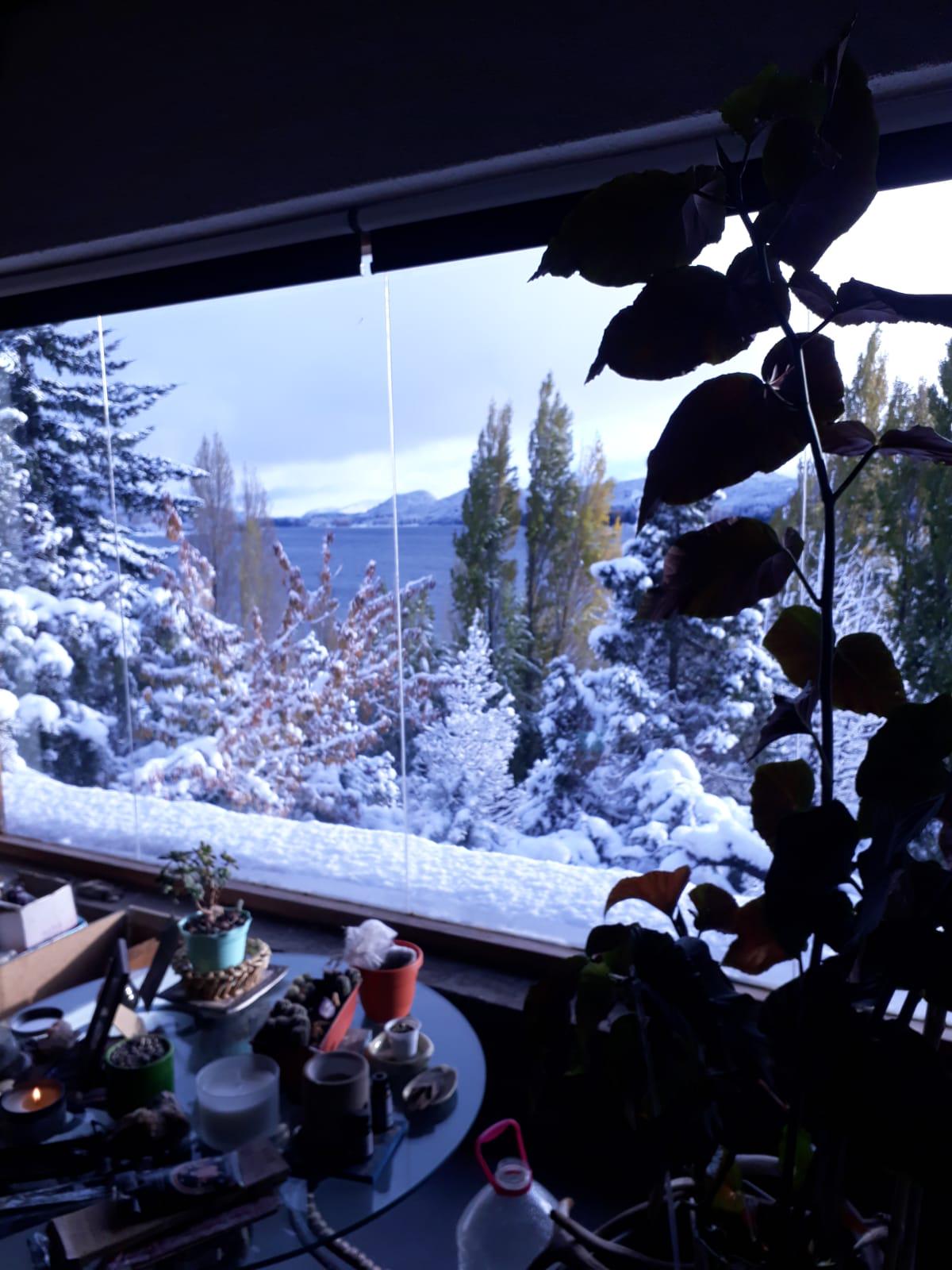 My Window | Scrolller