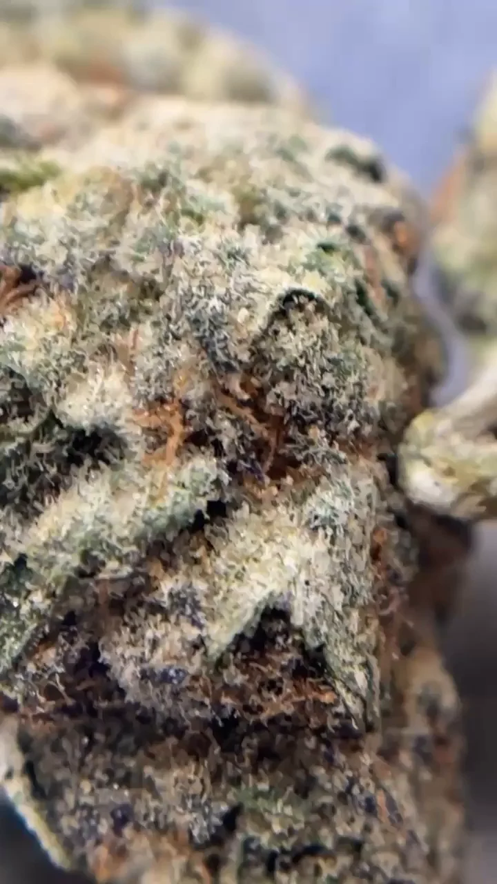 Lemon Cherry Punch | Scrolller