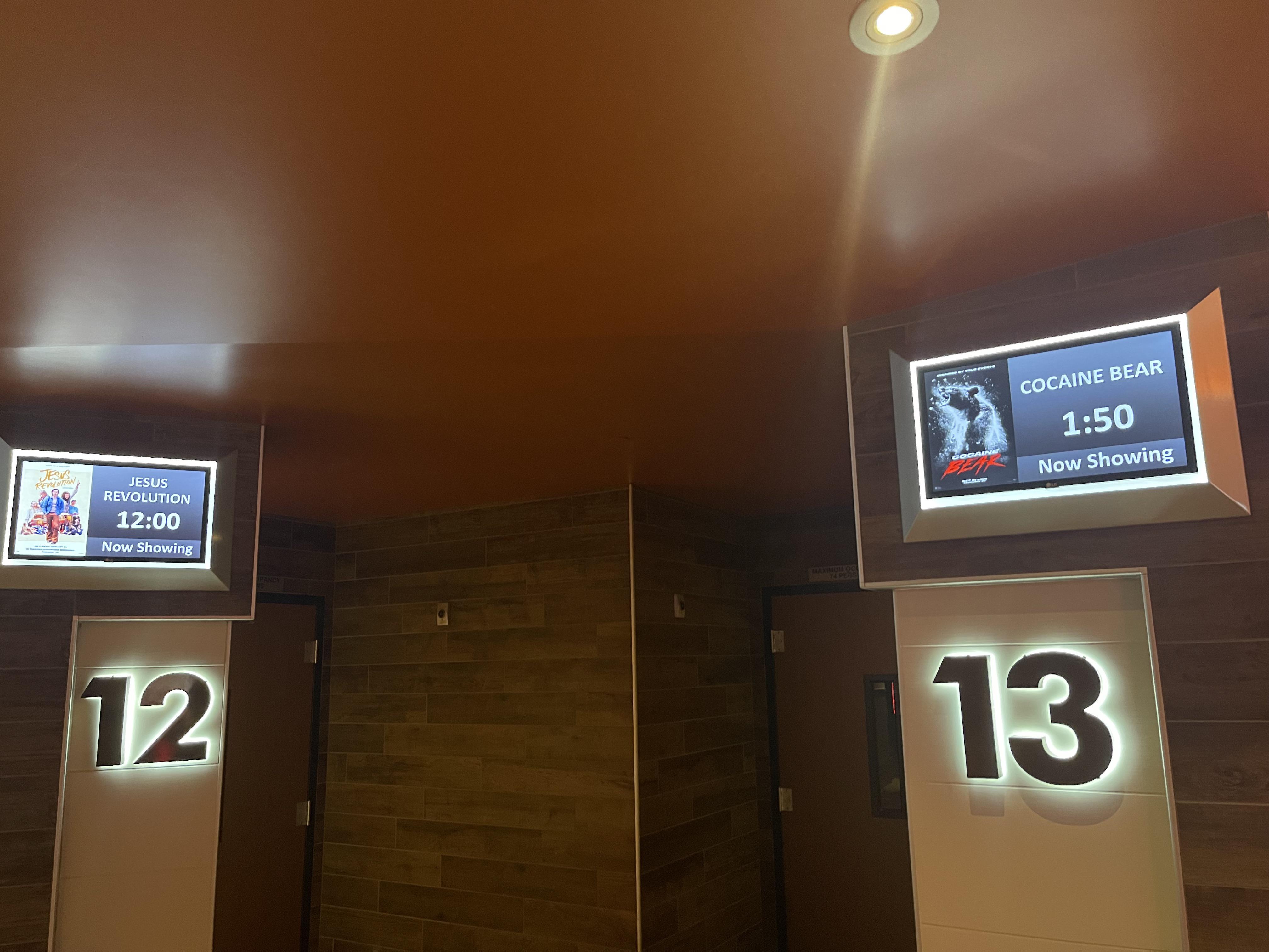 Decisions.. | Scrolller