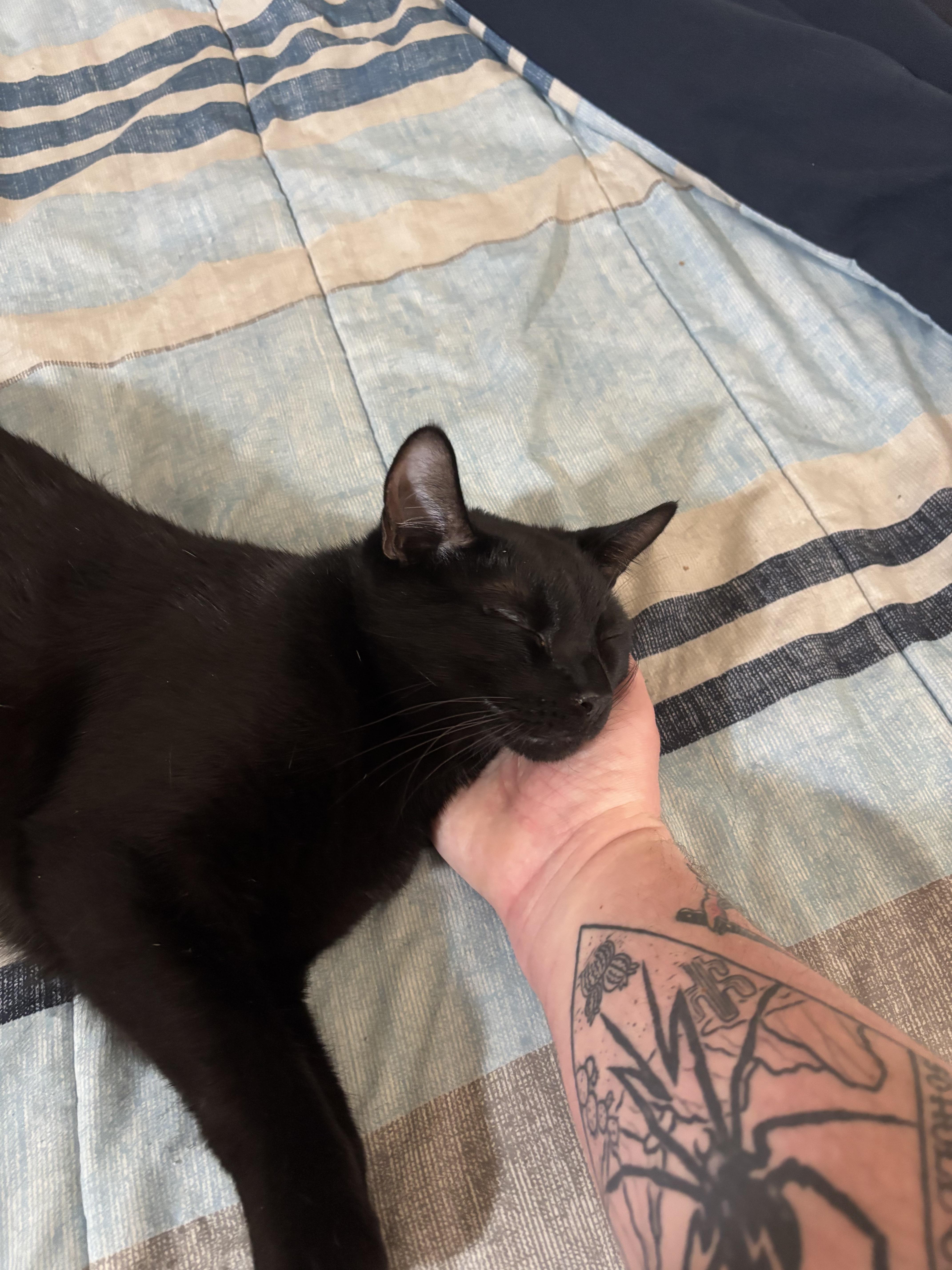 I love him sm | Scrolller