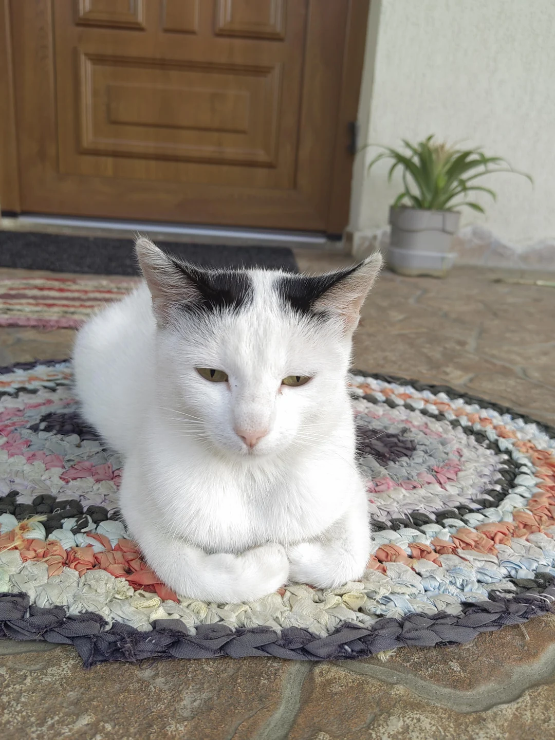 Serious loaf | Scrolller