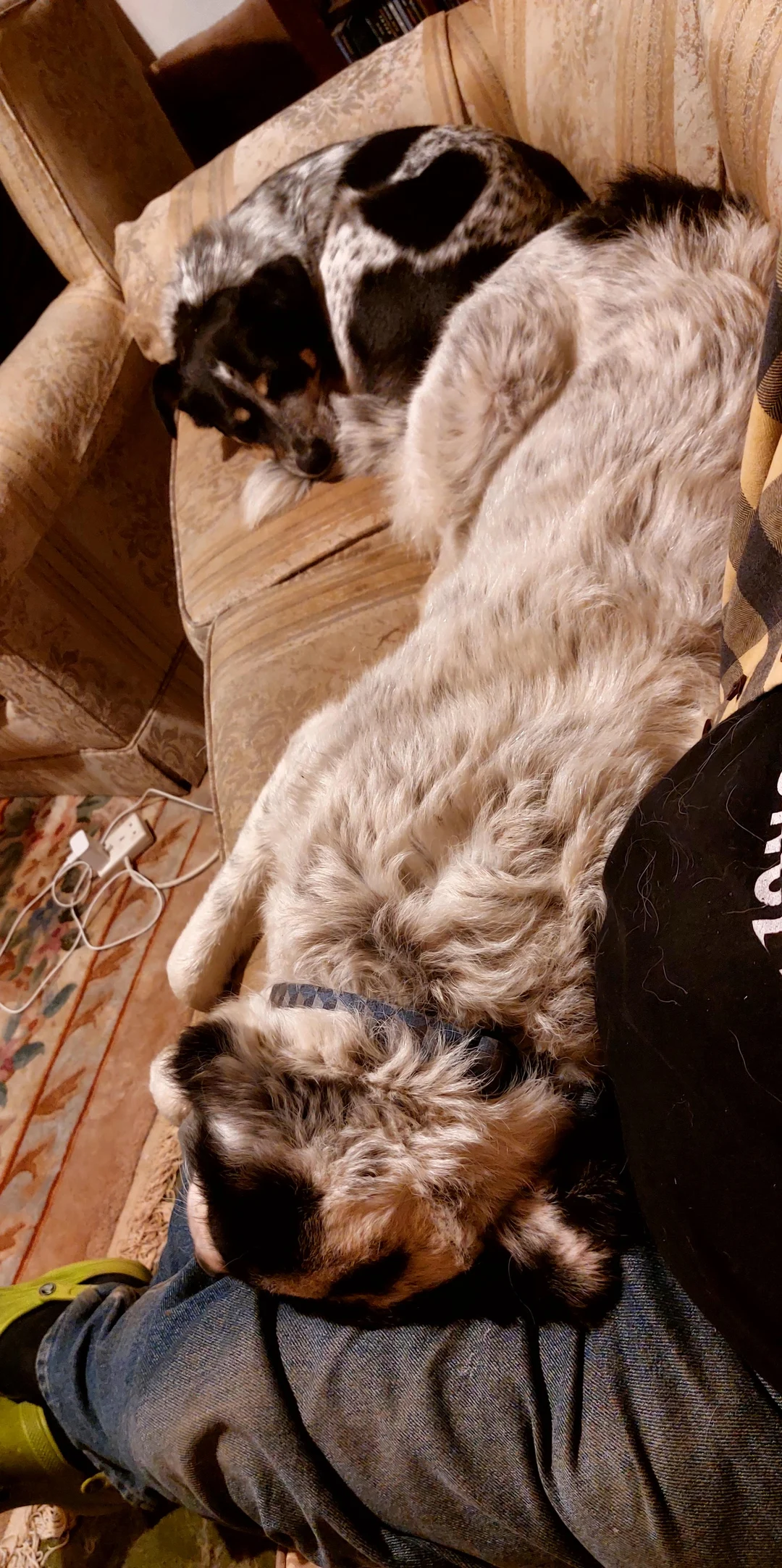 Snooze time | Scrolller