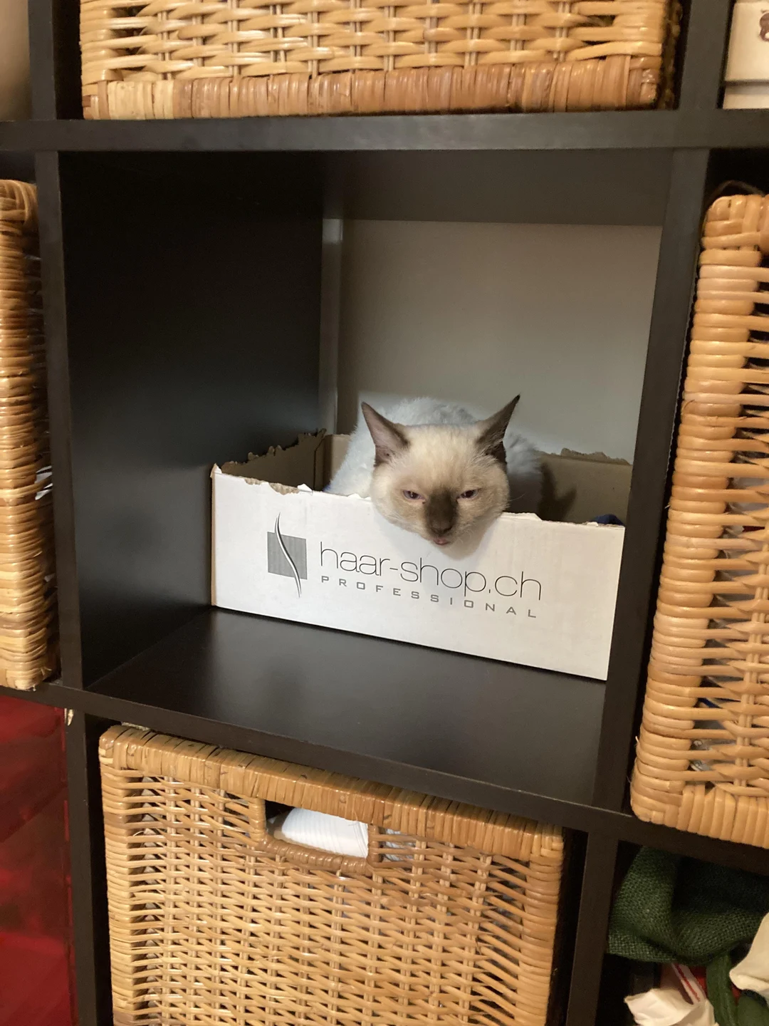 The trap was a success | Scrolller