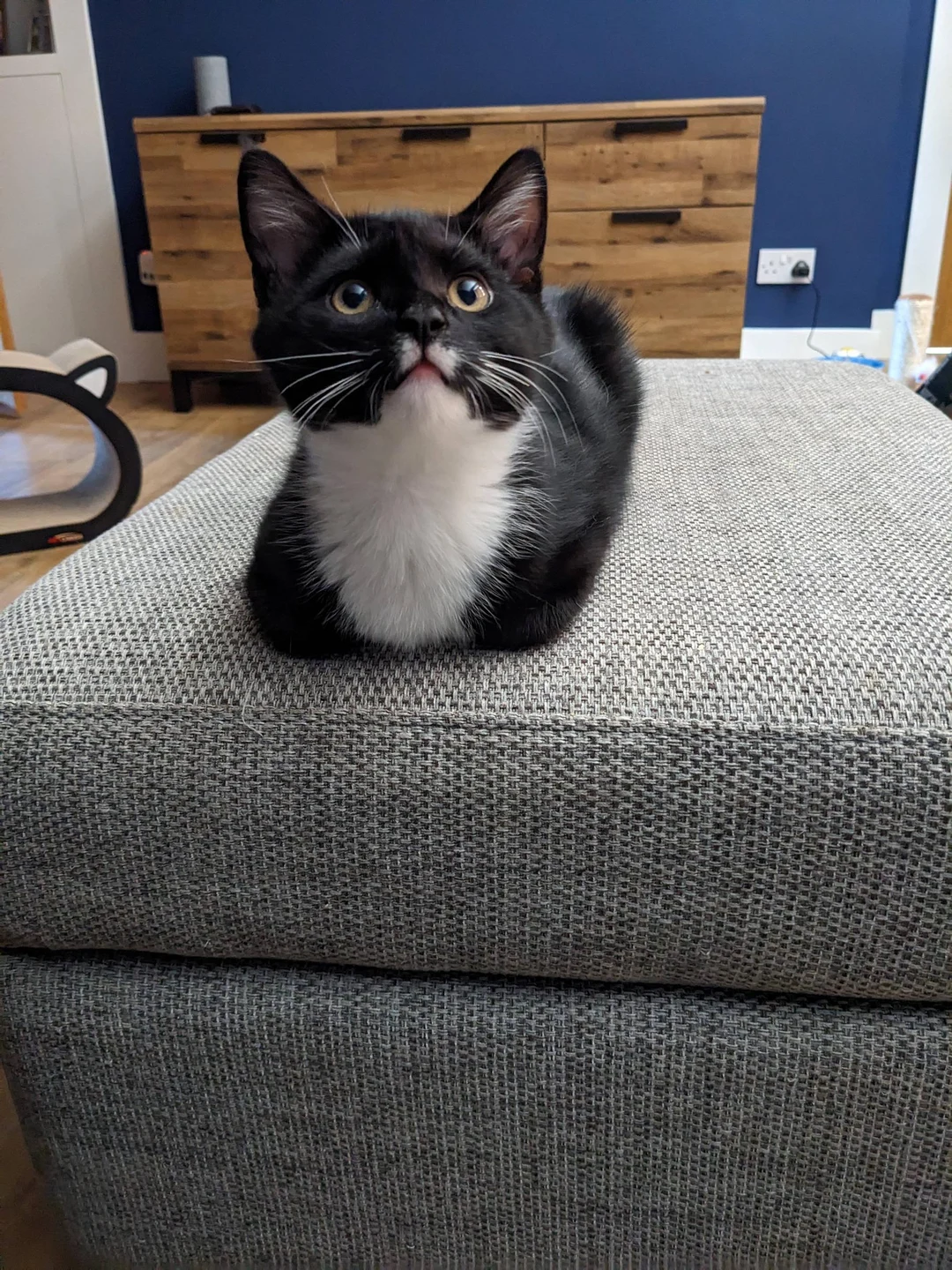 Sebastian's first ever loaf. A decent start. | Scrolller