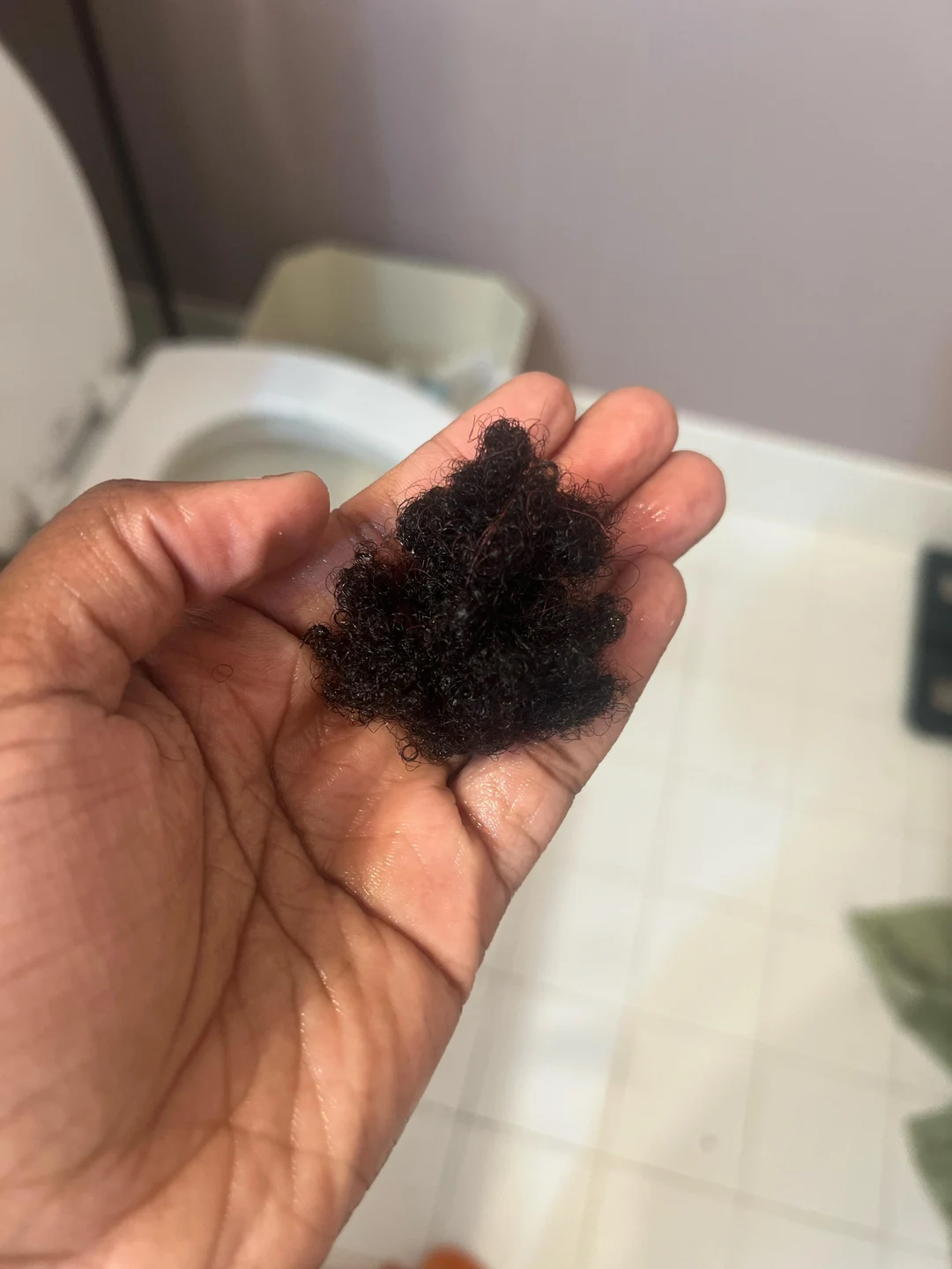 Is this amount of shedding after combing? | Scrolller