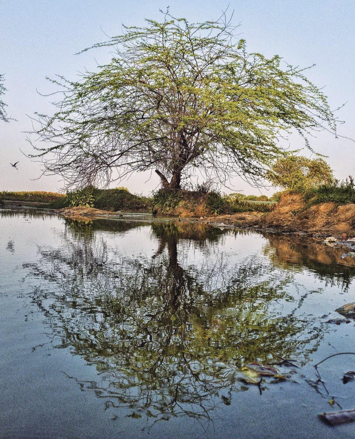 My capture and it is not edited | Scrolller