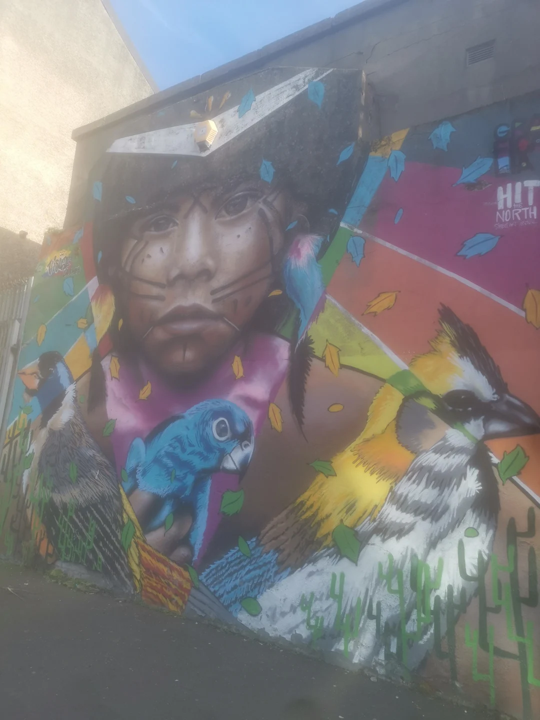 Exotic scene seen Smithfield Belfast | Scrolller