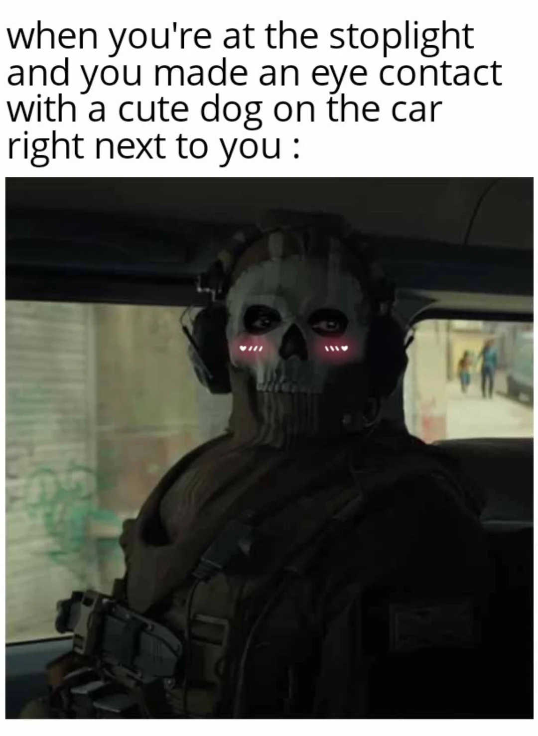 cute doggo | Scrolller