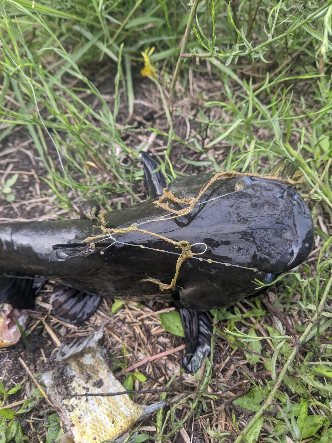 Very odd luck with snap | Scrolller