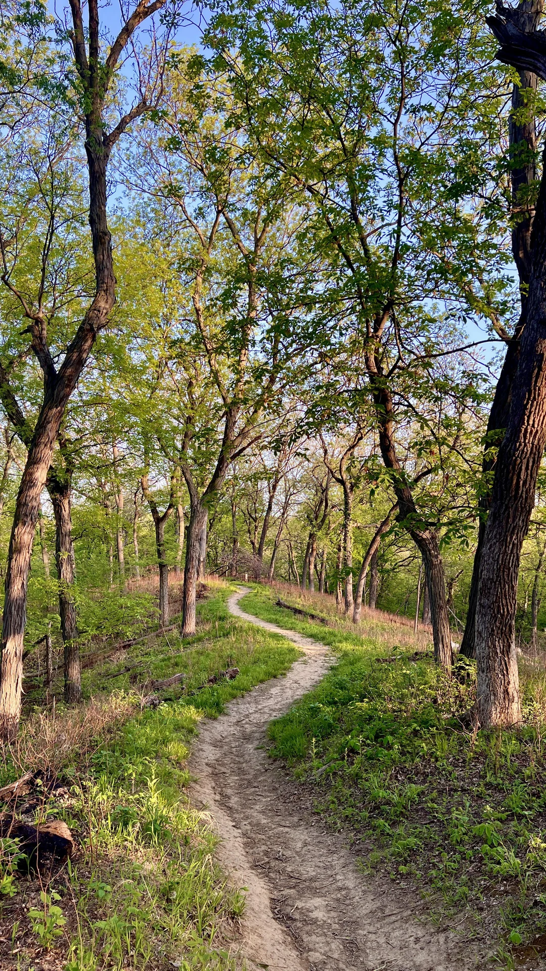 Fontenelle Forest, Nebraska | Scrolller