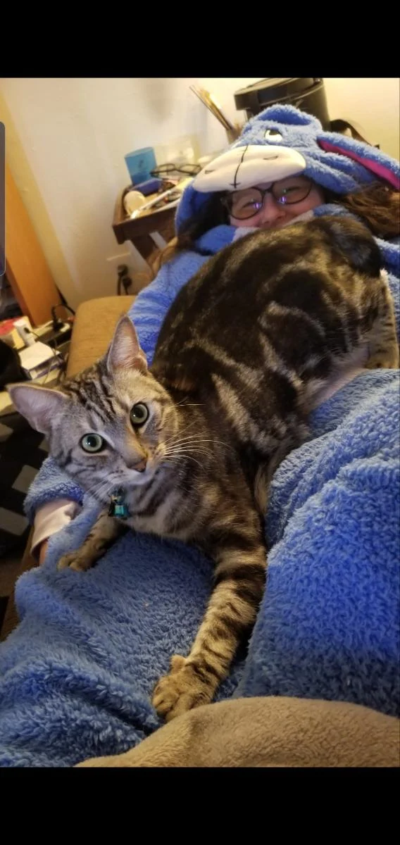 My big snuggly boy. | Scrolller