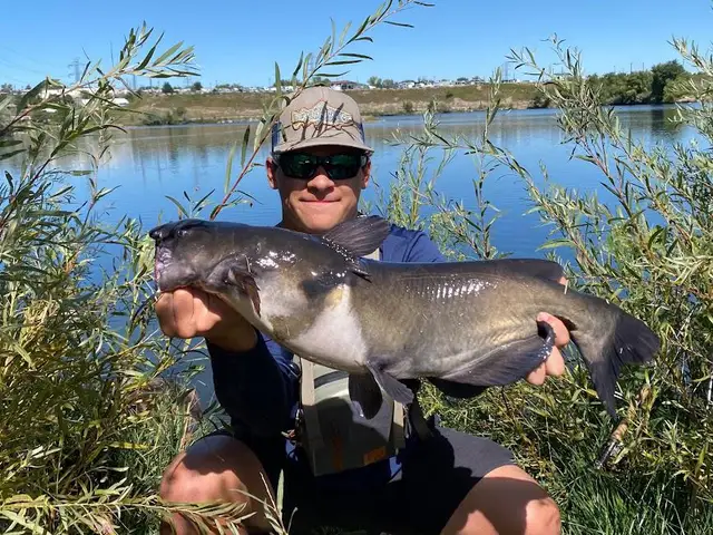 sight fished my first ever catfish with a jerkbait, crazy stuff! scale read 13lbs | Scrolller