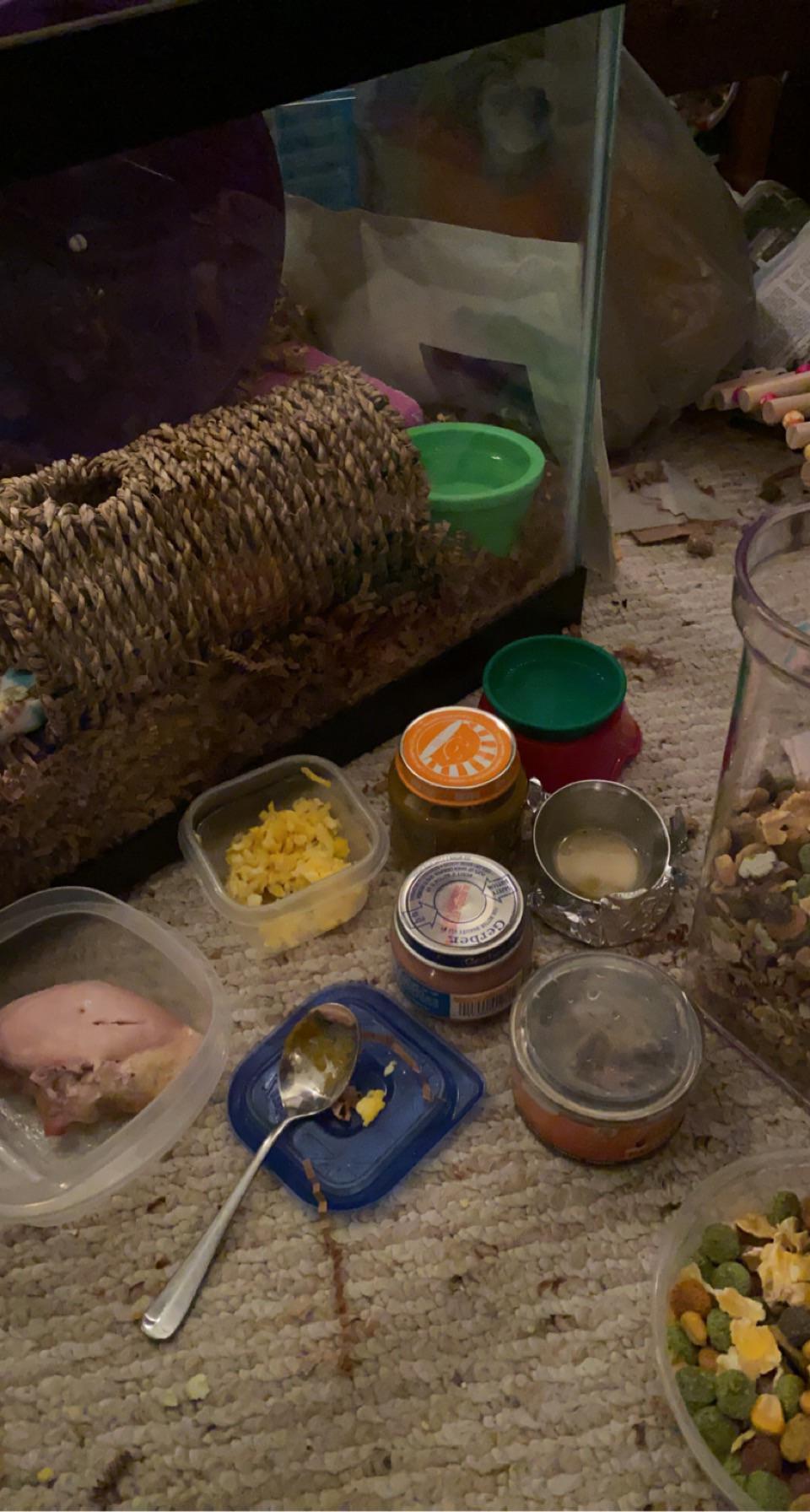 Teensy’s gourmet options | Scrolller