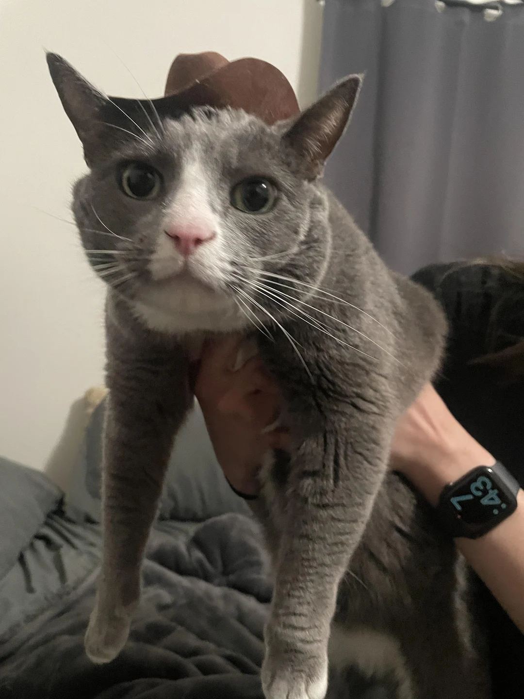 cowboy dusty has arrived | Scrolller