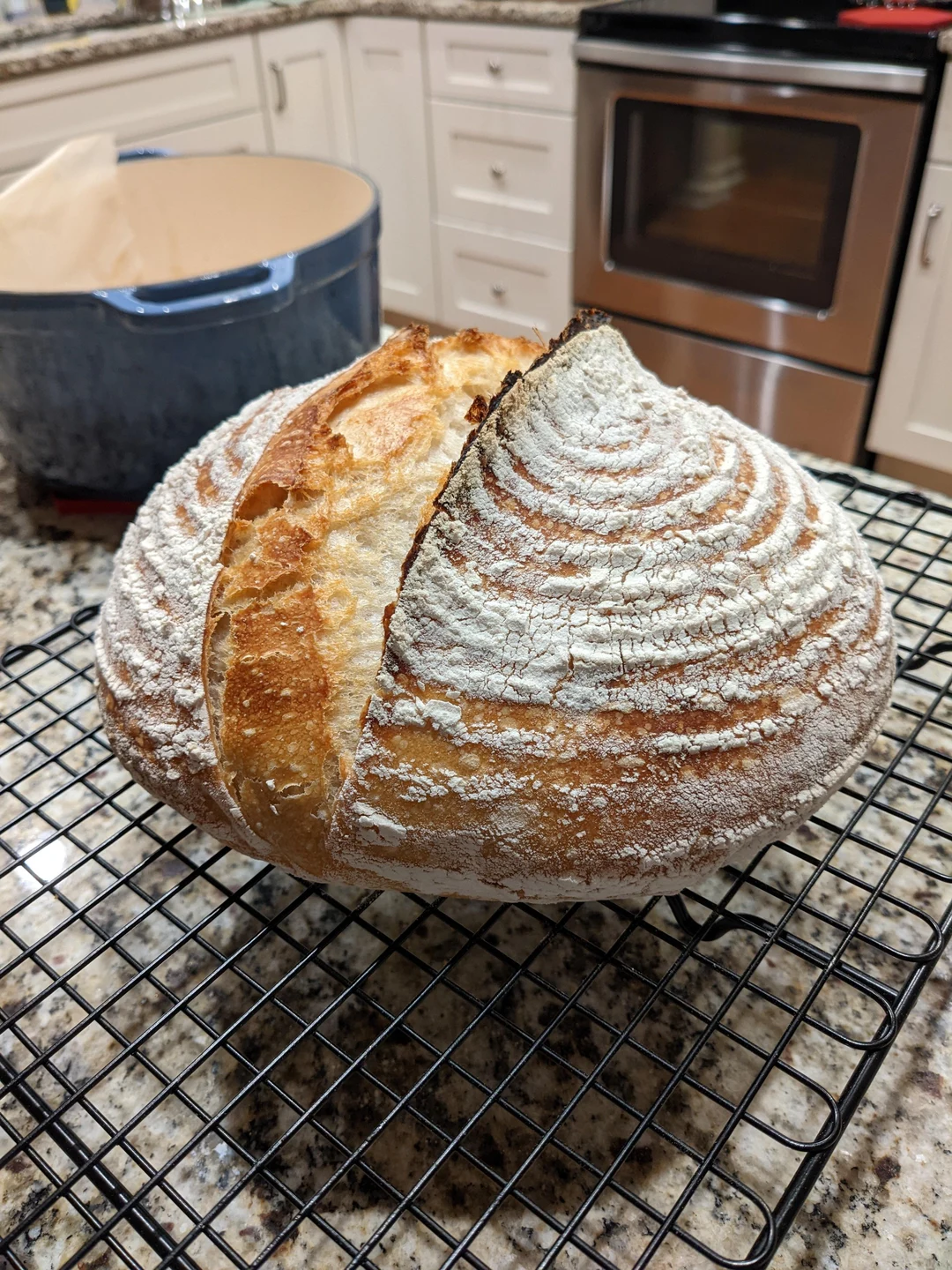 Discover More Like Breadit 70ish Bread Flour 1 Day Ferment And