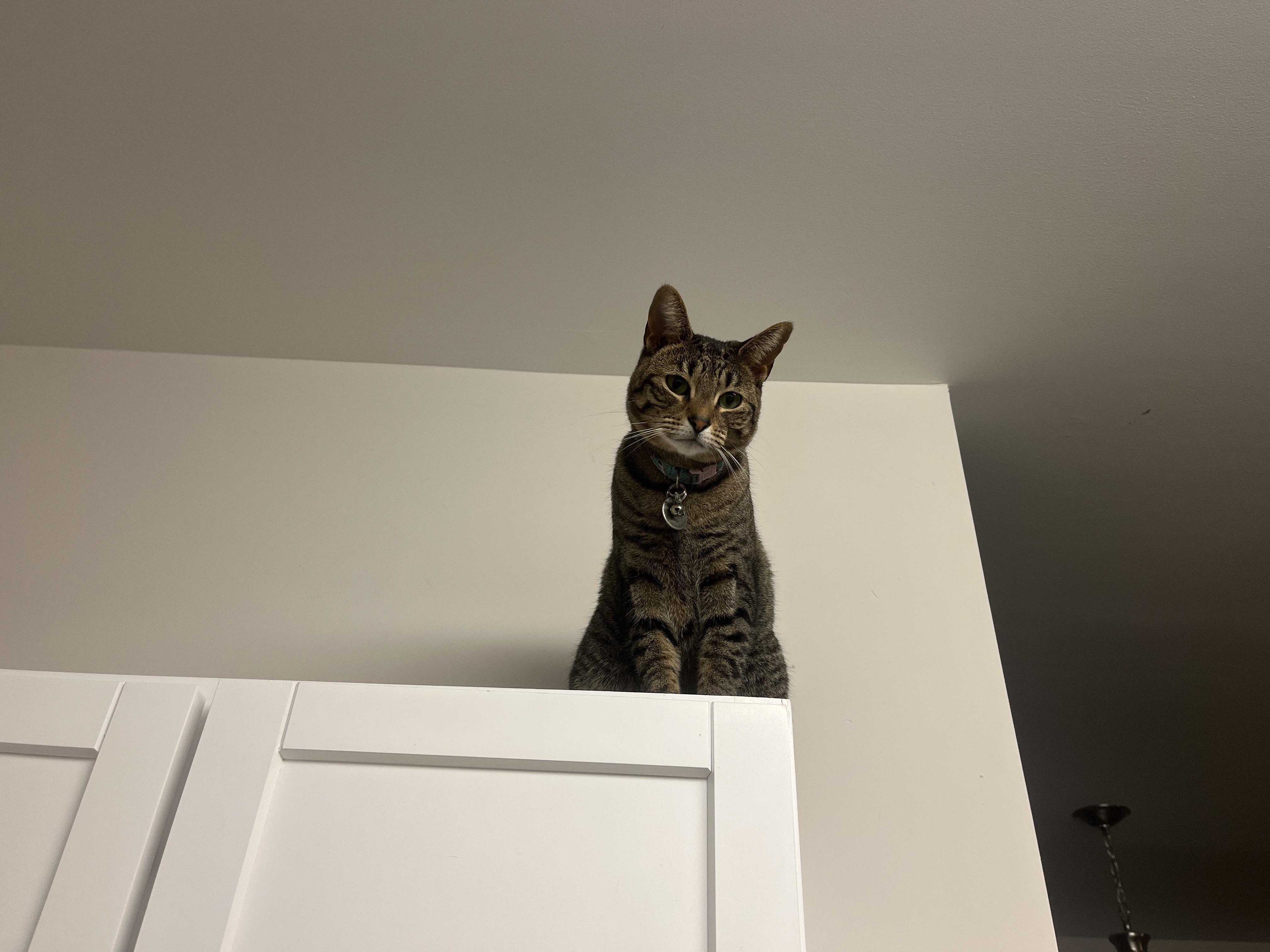 Queen of the Mountain | Scrolller