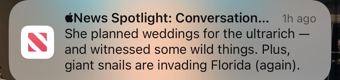 Jojo reference irl? | Scrolller