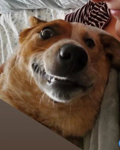 The face u make when mom comes home after vacation | Scrolller